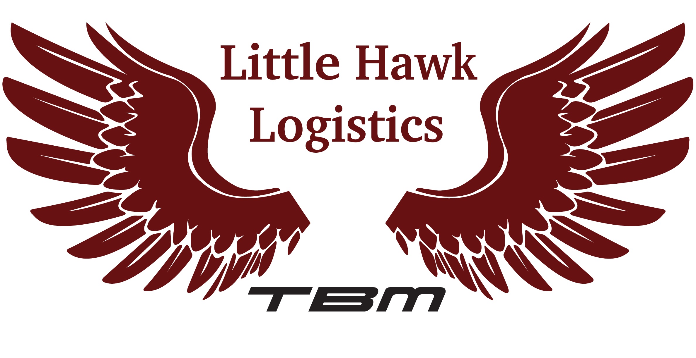 Little Hawk Logistics | TBM 900 Charter — Charlottesville